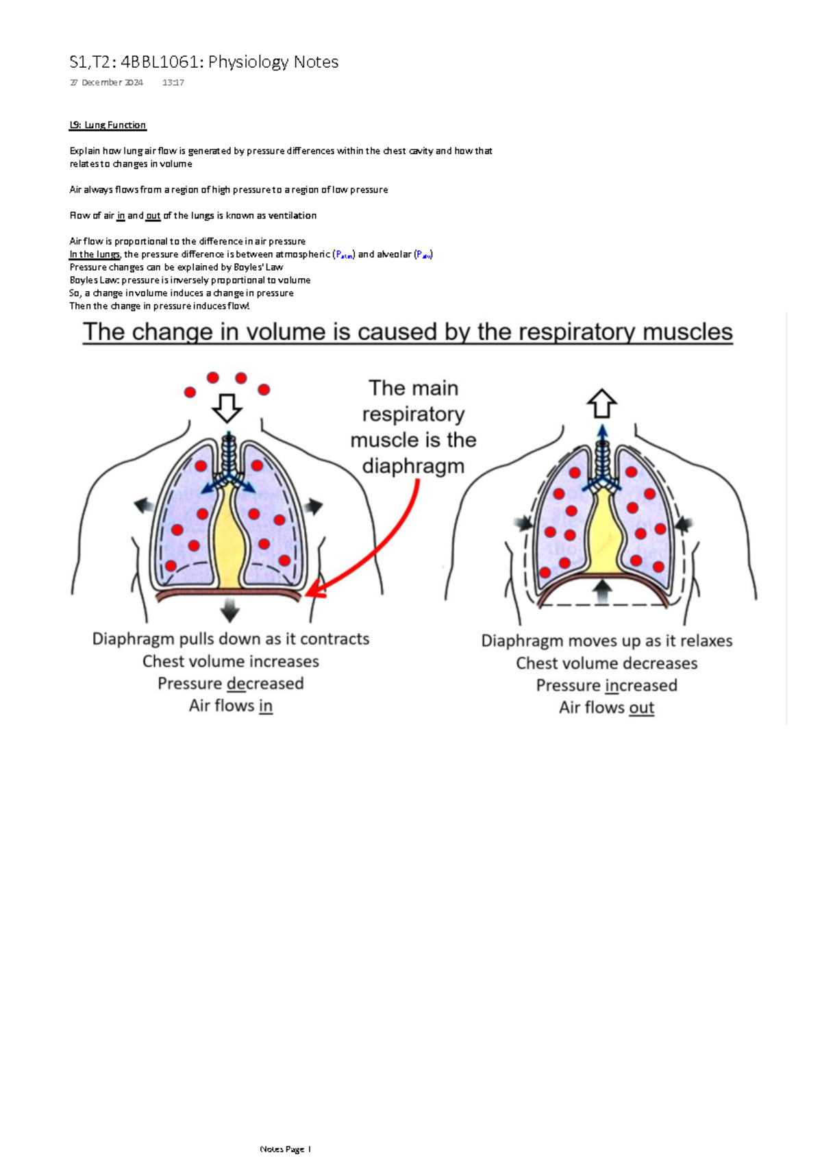 S1,T2 4BBL1061: Comprehensive Physiology Notes on Lung Function - Studocu