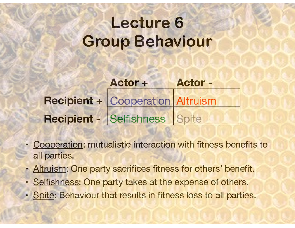 BIOL103 Final Exam Study Notes: Insights on Group Behavior & Altruism ...