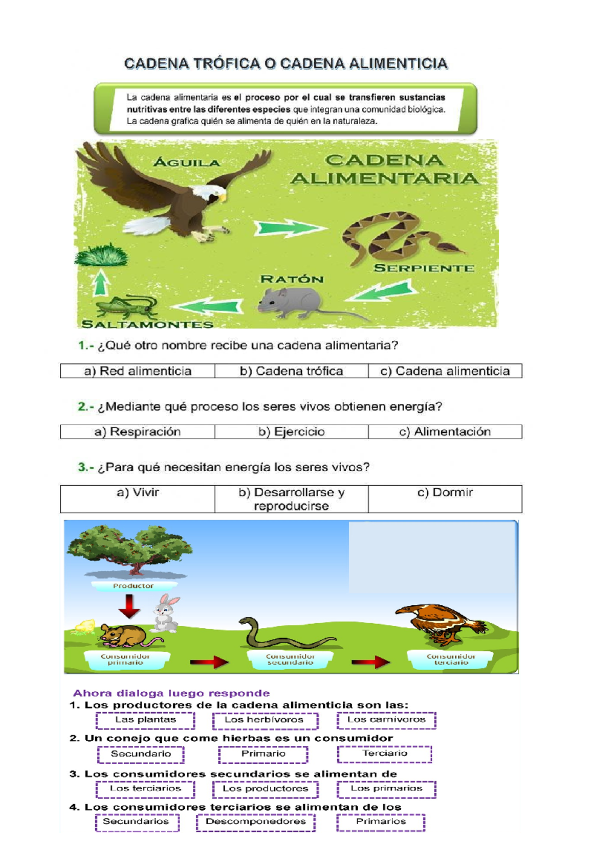 CT-2: Cadena Alimentaria y Trófica en Ecosistemas - Studocu