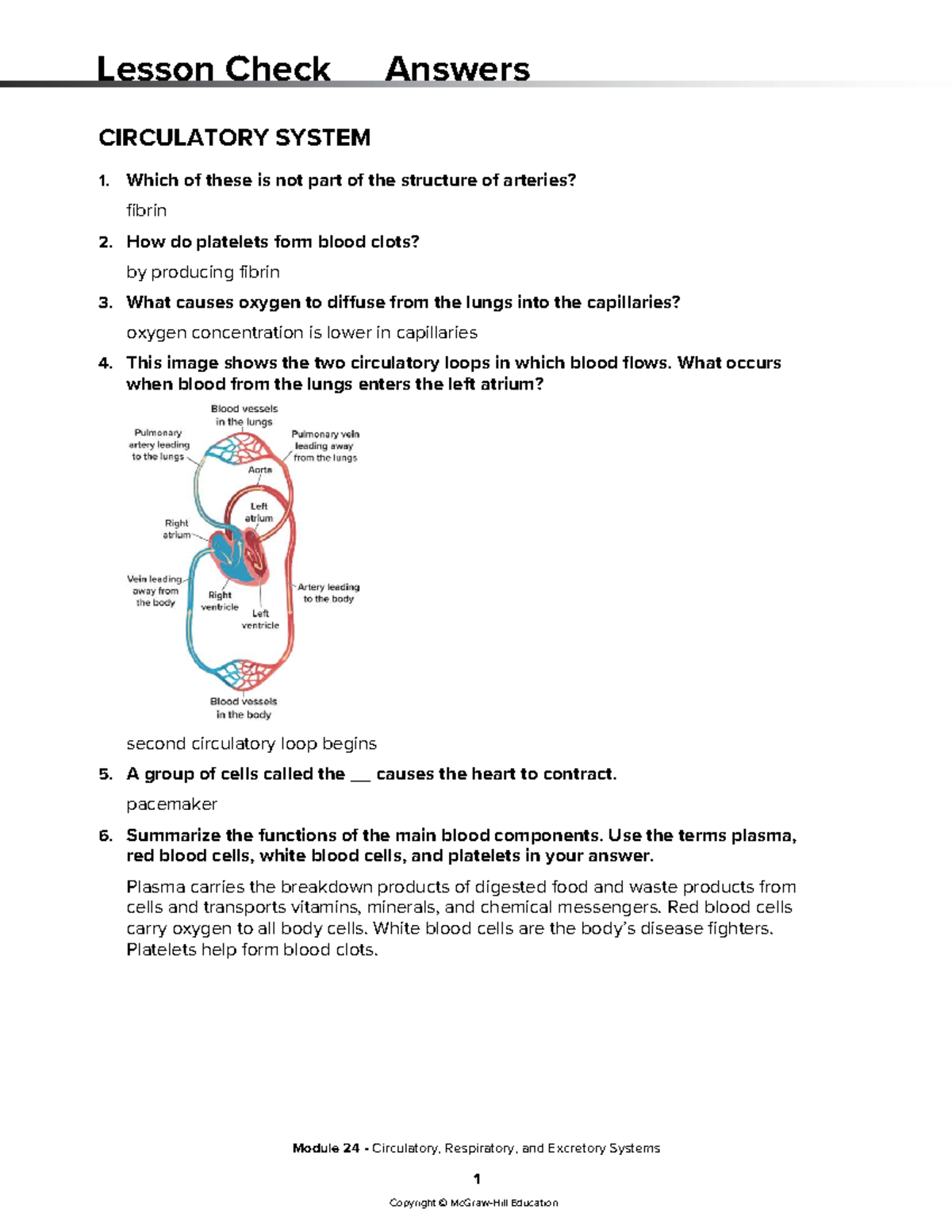 Lesson Check Answer Key Circulatory System - Copyright © McGraw-Hill ...