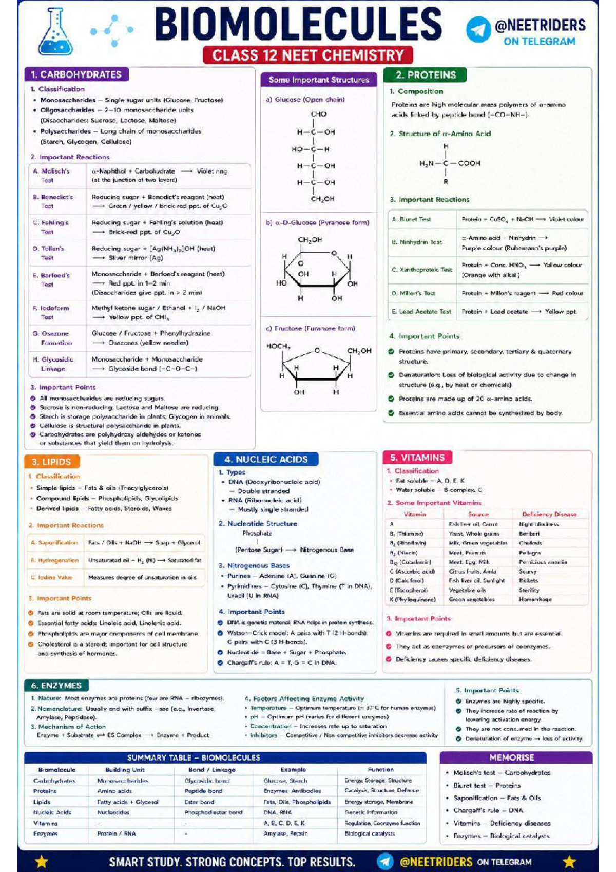 BIOMOLECULES NOTES FOR CLASS 12 NEET CHEMISTRY: STRUCTURES & FUNCTIONS ...