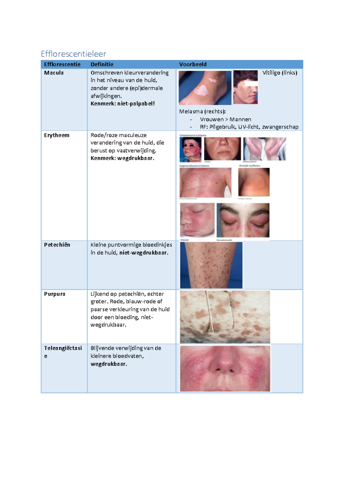 Provoke - Methode wat kan helpen bij het beschrijven van ...