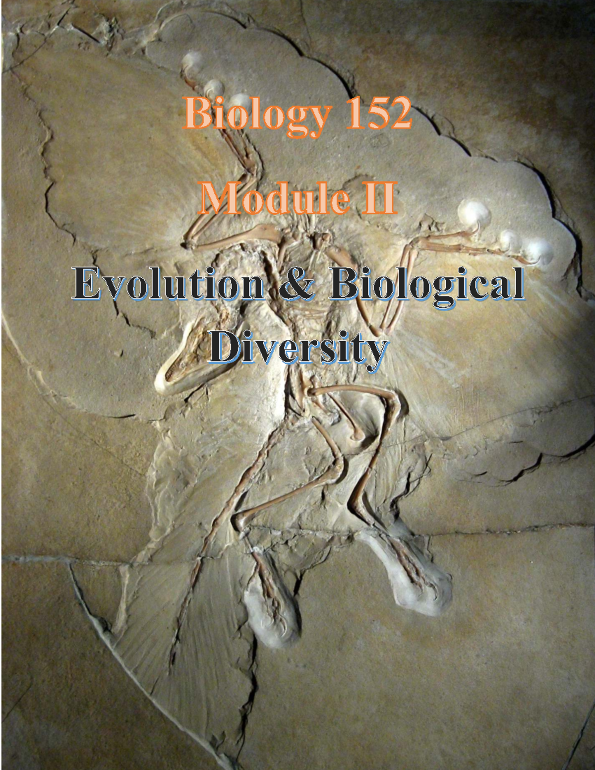 Biology 152: Module II - Evolution & Common Ancestry Overview - Studocu