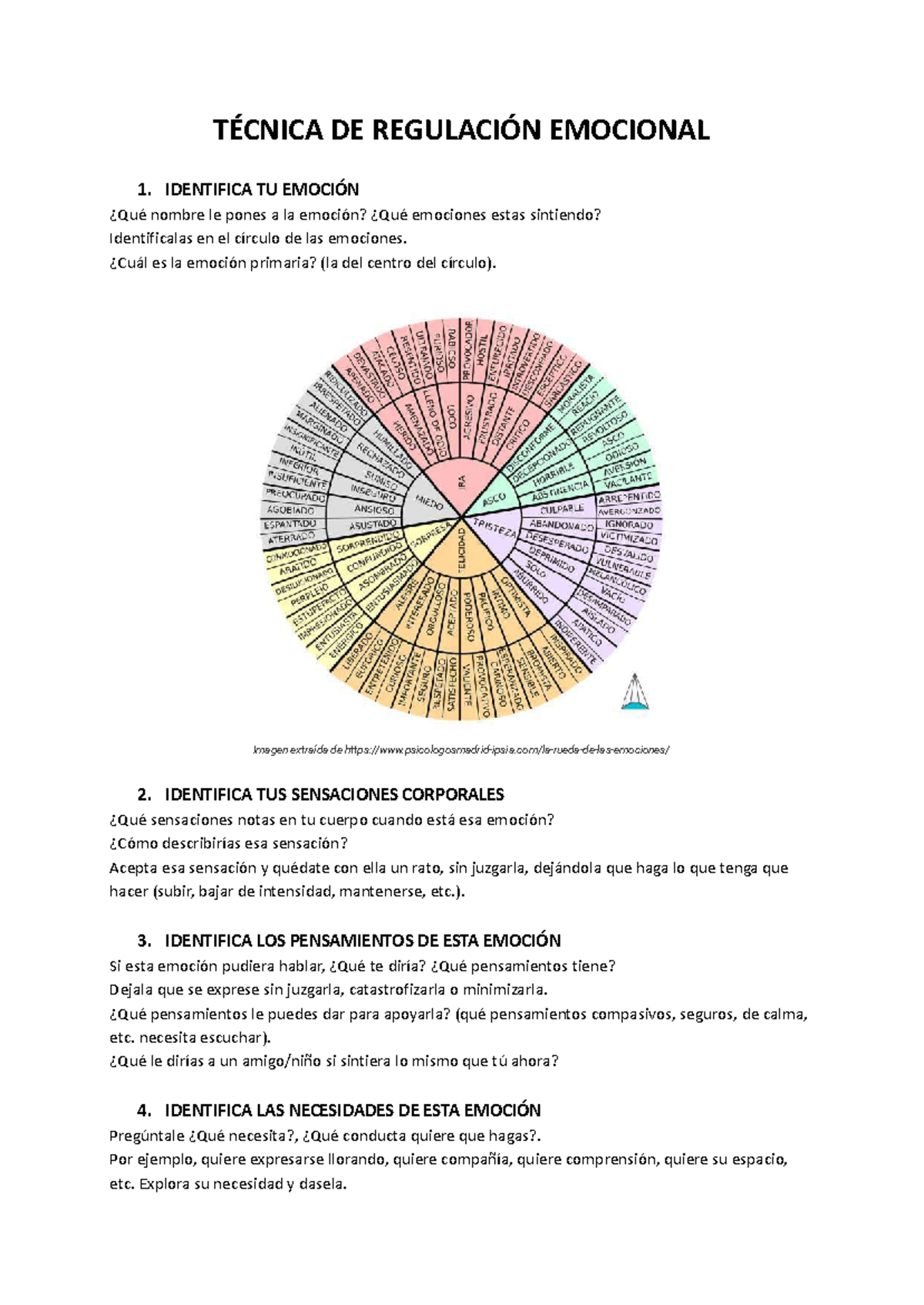 Técnica de Regulación Emocional: Identifica y Comprende tus Emociones ...