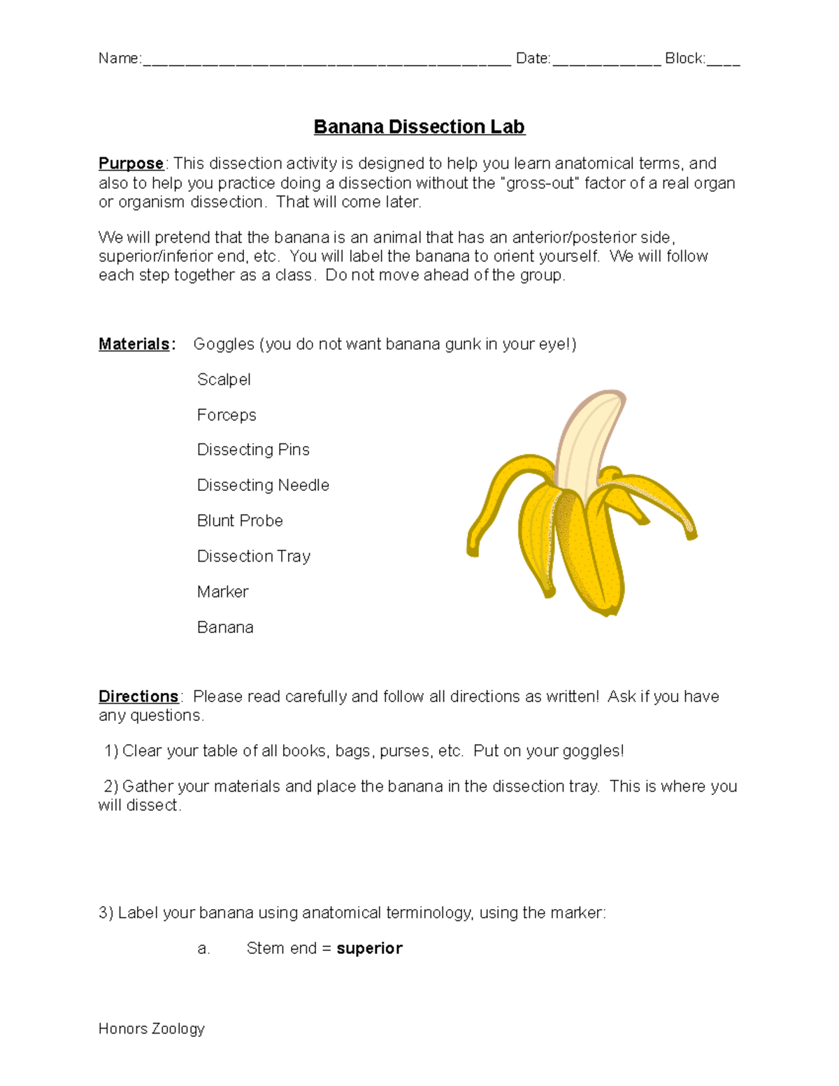 Banana Dissection Lab: Exploring Anatomy Without Gross-Out Factors ...