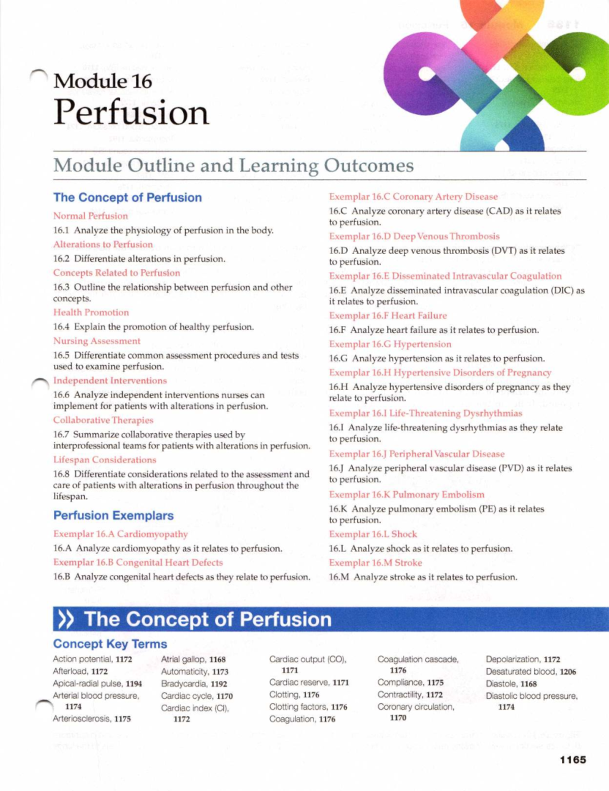 Perfusion Module 16: Key Concepts and Learning Outcomes - Studocu