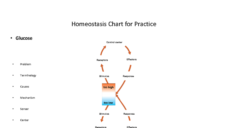 Physio Homeostasis Chart for Glucose, Sodium & H+ Control - Studocu