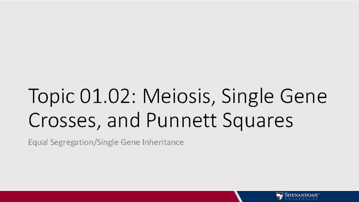 Single Gene Crosses - ####### Topic 01: Meiosis, Single Gene ...