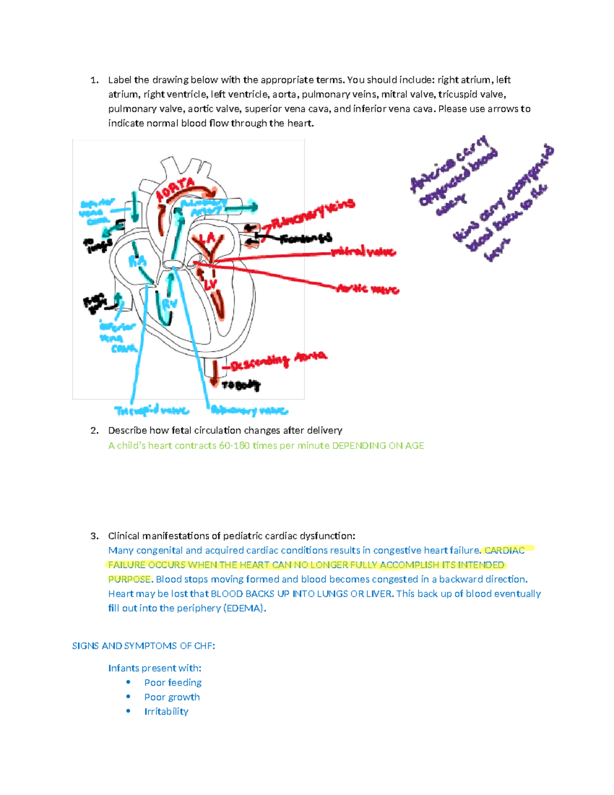 Cardiac Knowledge Check Notes: Pediatric Cardiac Dysfunction & CHF ...