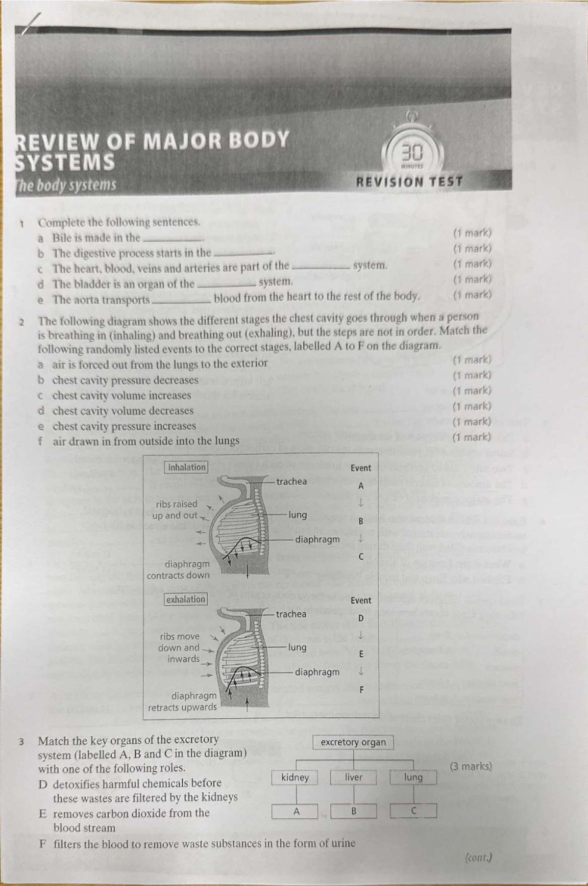 Body Systems Revision Test (30 Min) - Year 9 Science - Studocu