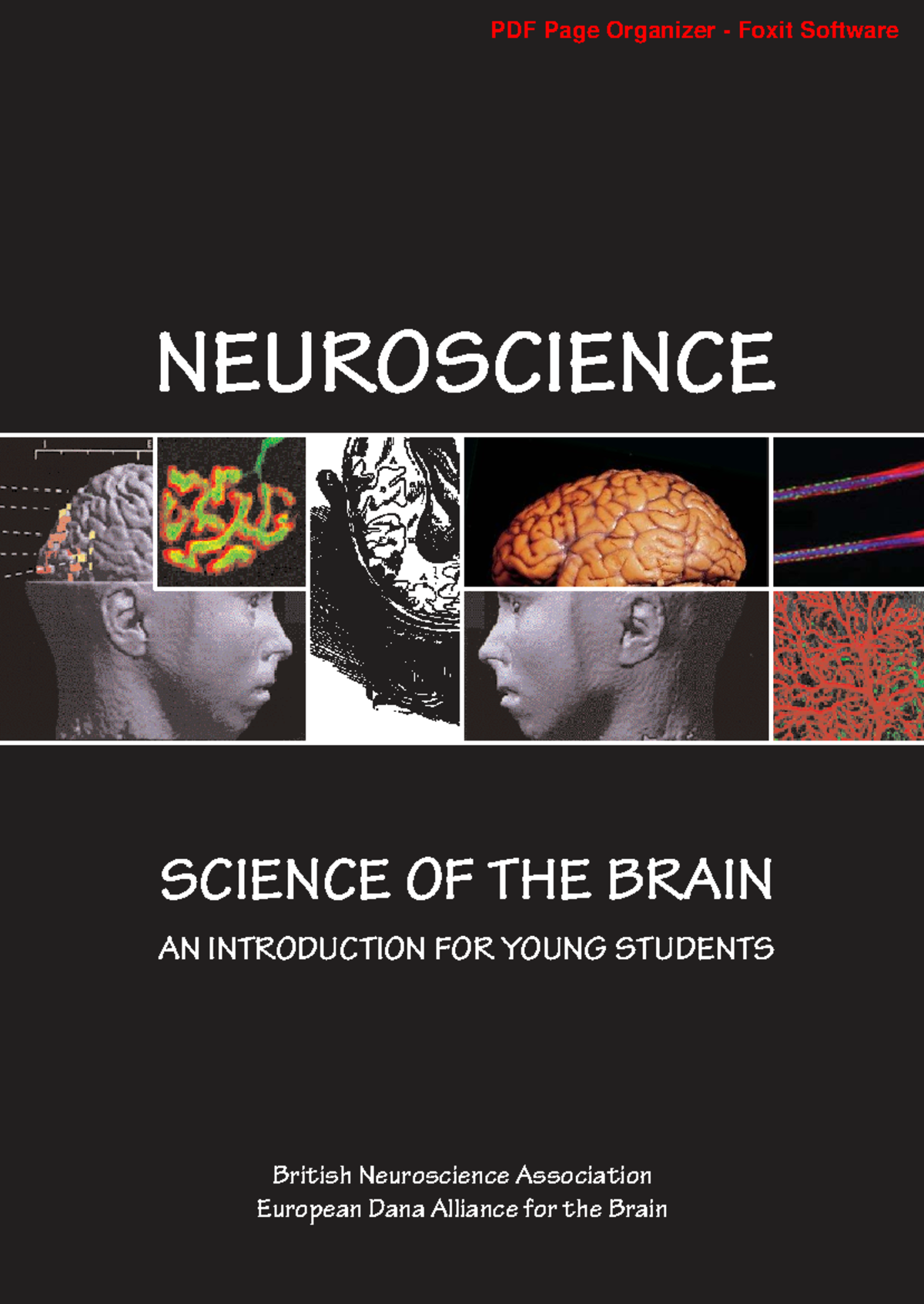 Neuroscience 101: An Introductory Guide for Young Students ...