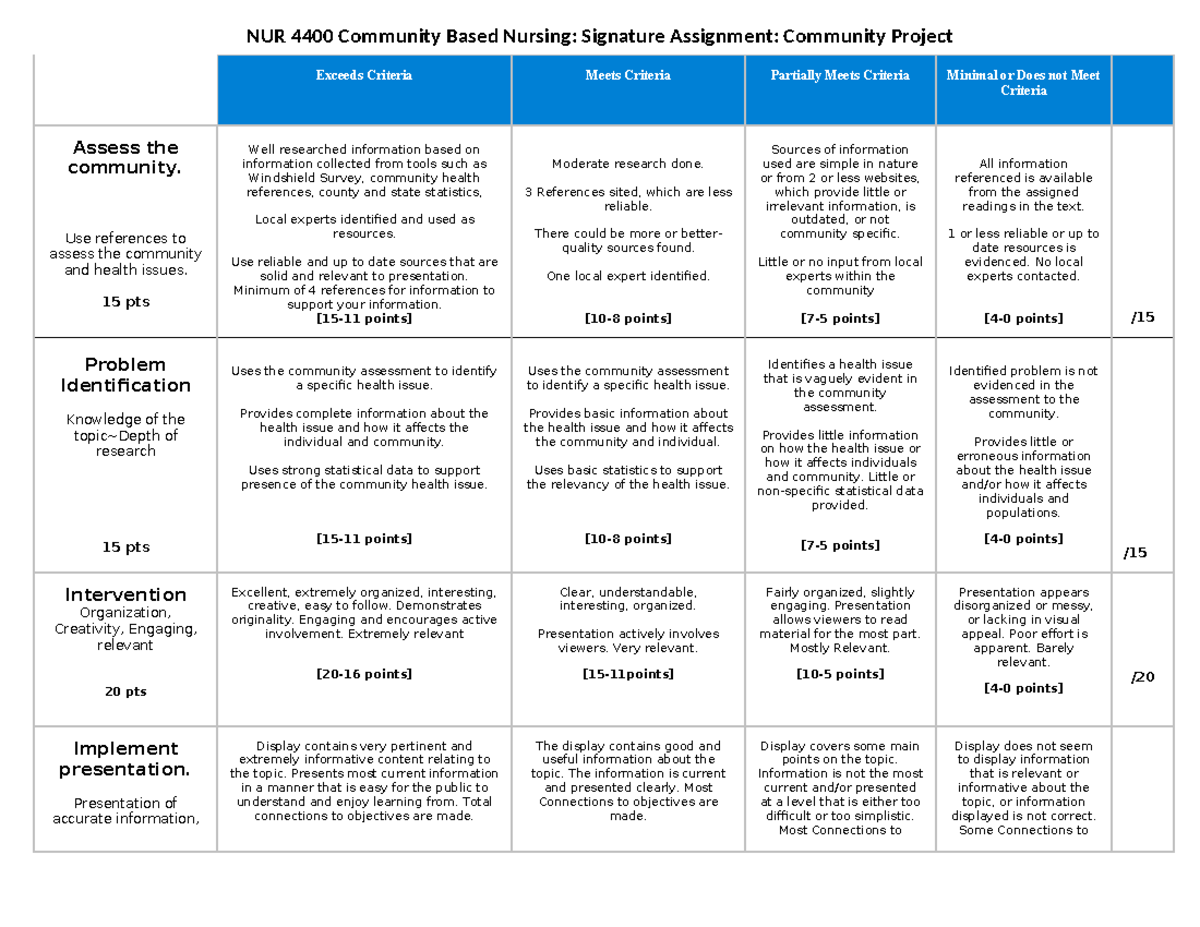 Final Community Project Rubric - NUR 4400 Community Based Nursing ...
