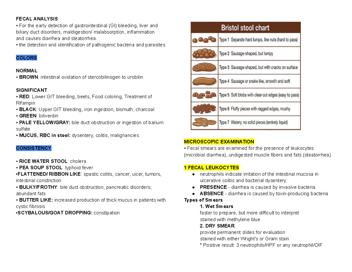 Fecalysis (FEC 101): Comprehensive Guide to Fecal Analysis Techniques ...