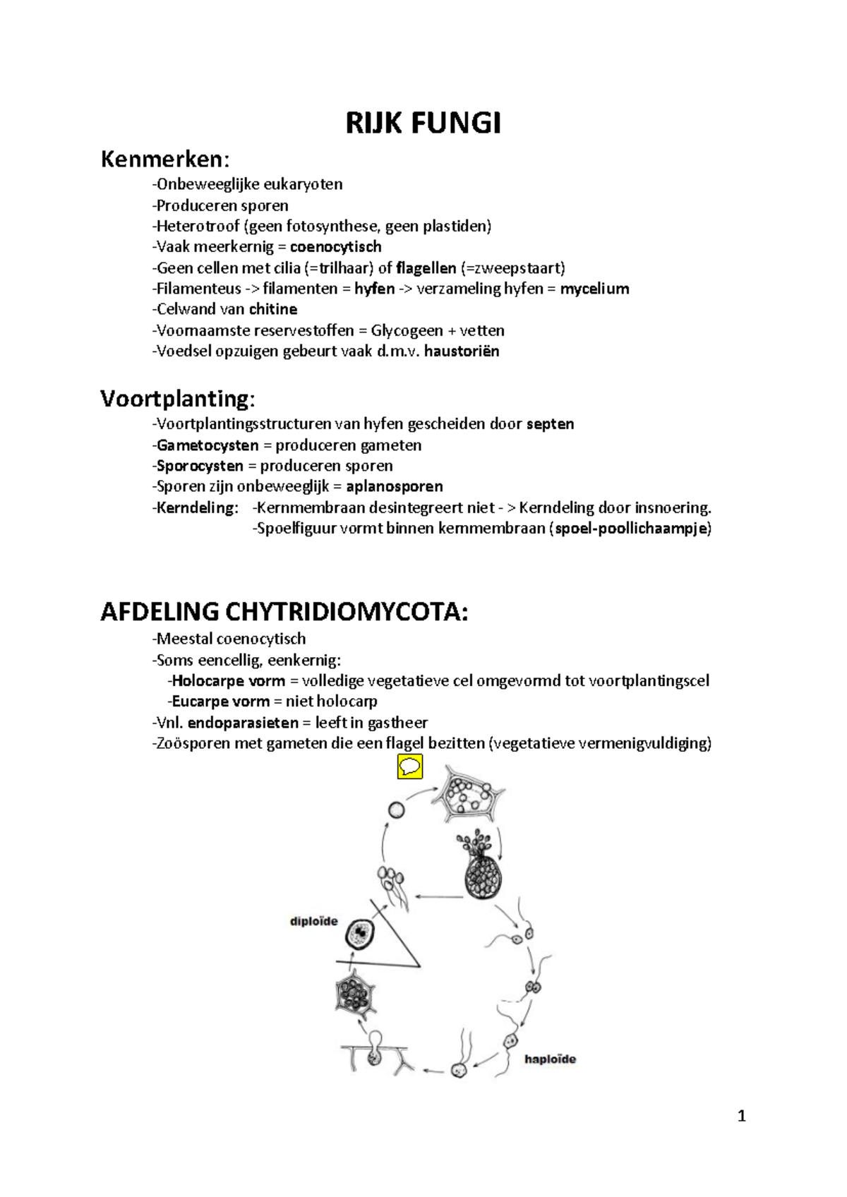 Samenvatting - Fungi - RIJK FUNGI Kenmerken: eukaryoten sporen (geen ...