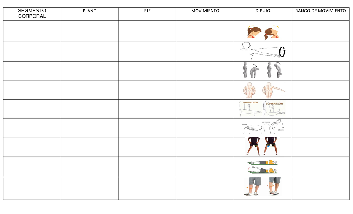 Anatomia 2 - Una información - Fisioterapia musculoesqueletica ...