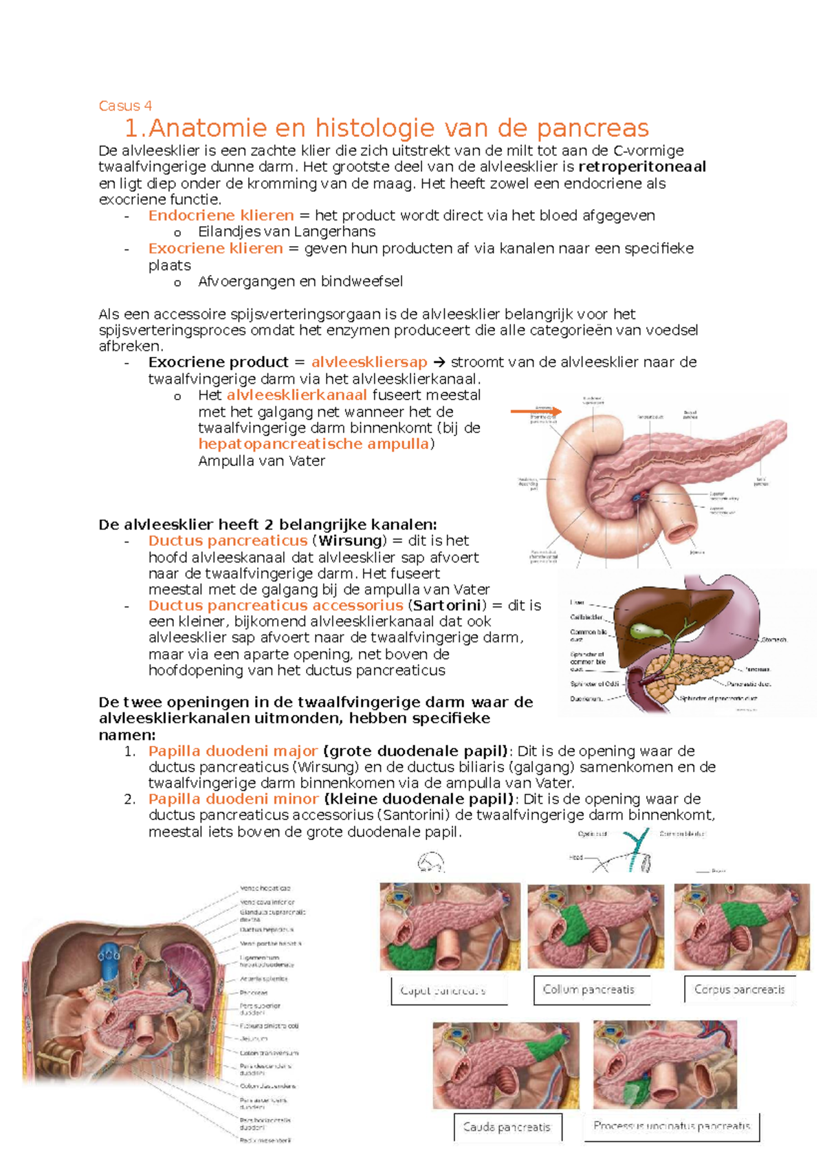 Casus 4: Anatomie en Histologie van de Pancreas - Leerdoelen - Studeersnel