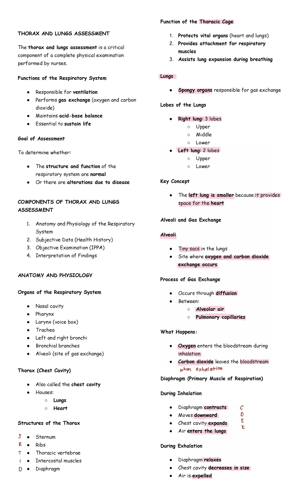 THORAX AND LUNGS ASSESSMENT: FUNCTION AND EXAMINATION GUIDE - Studocu