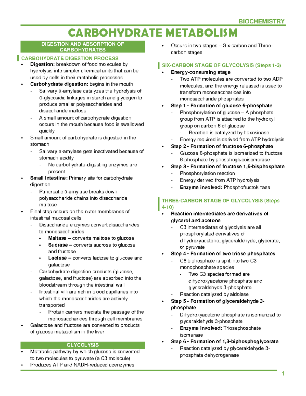 Carbohydrate Metabolism: Processes of Digestion and Glycolysis - Studocu