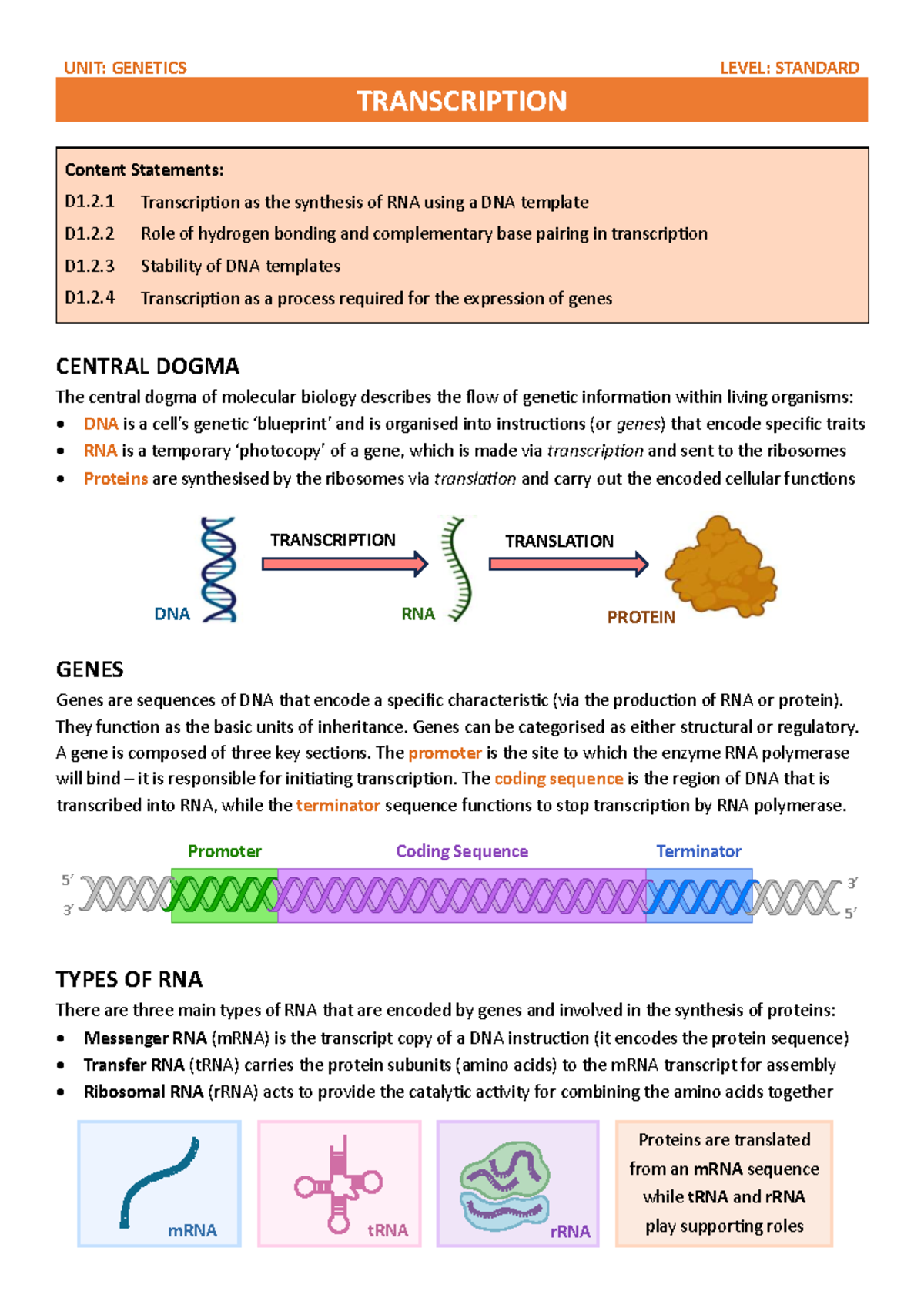 Transcription and Gene Expression: Standard Genetics Overview (GEN101 ...