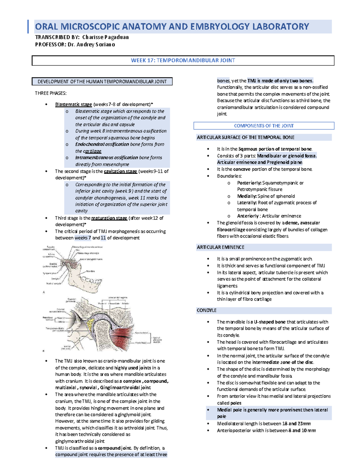 DOMA LAB W18: TEMPOROMANDIBULAR JOINT ANATOMY & EMBRYOLOGY - Studocu