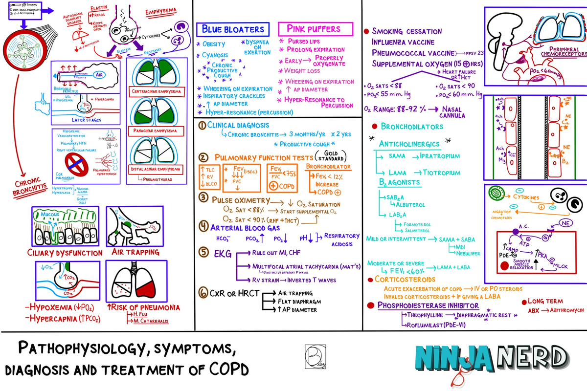 COPD Illustration: Pathophysiology, Symptoms, Diagnosis & Treatment ...