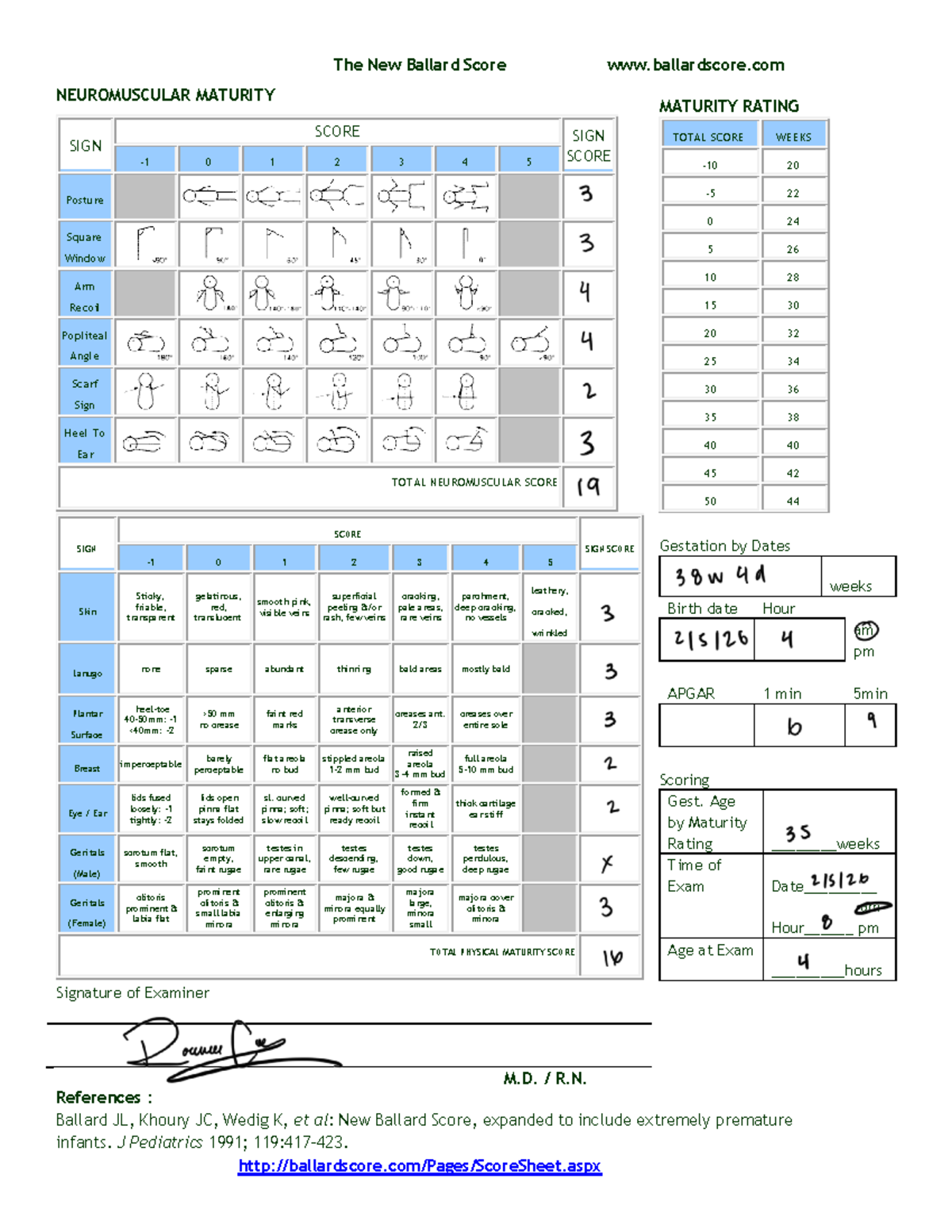 New Ballard Score Assessment for Neuromuscular Maturity - Studocu