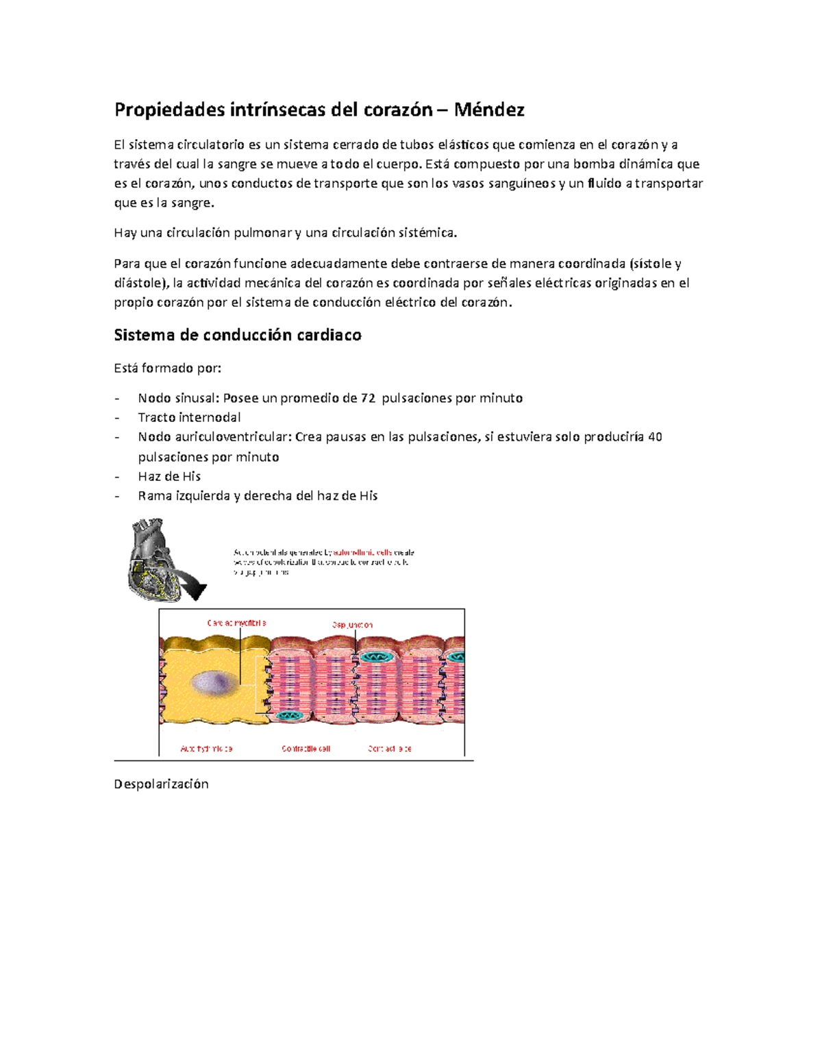 Clasificación de Stevenson - La insuficiencia cardiaca se define como un síndrome clínico - Studocu