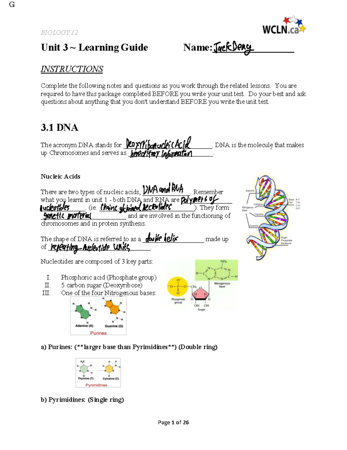 BIOLOGY 12 Unit 3 Learning Guide: DNA and Protein Synthesis Insights ...