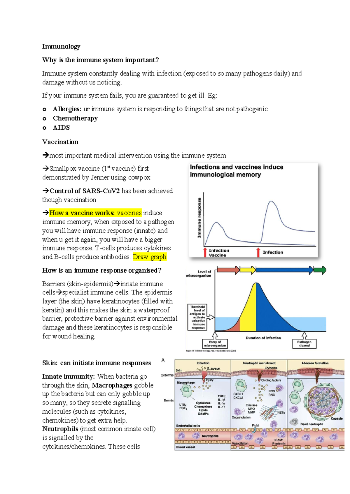 Immunology 101: Lecture Notes on Immune System Function and Response ...