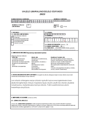 Lesson plan( Isizulu) - Uhlelo lwesifundo sesizulu - UHLELO ...