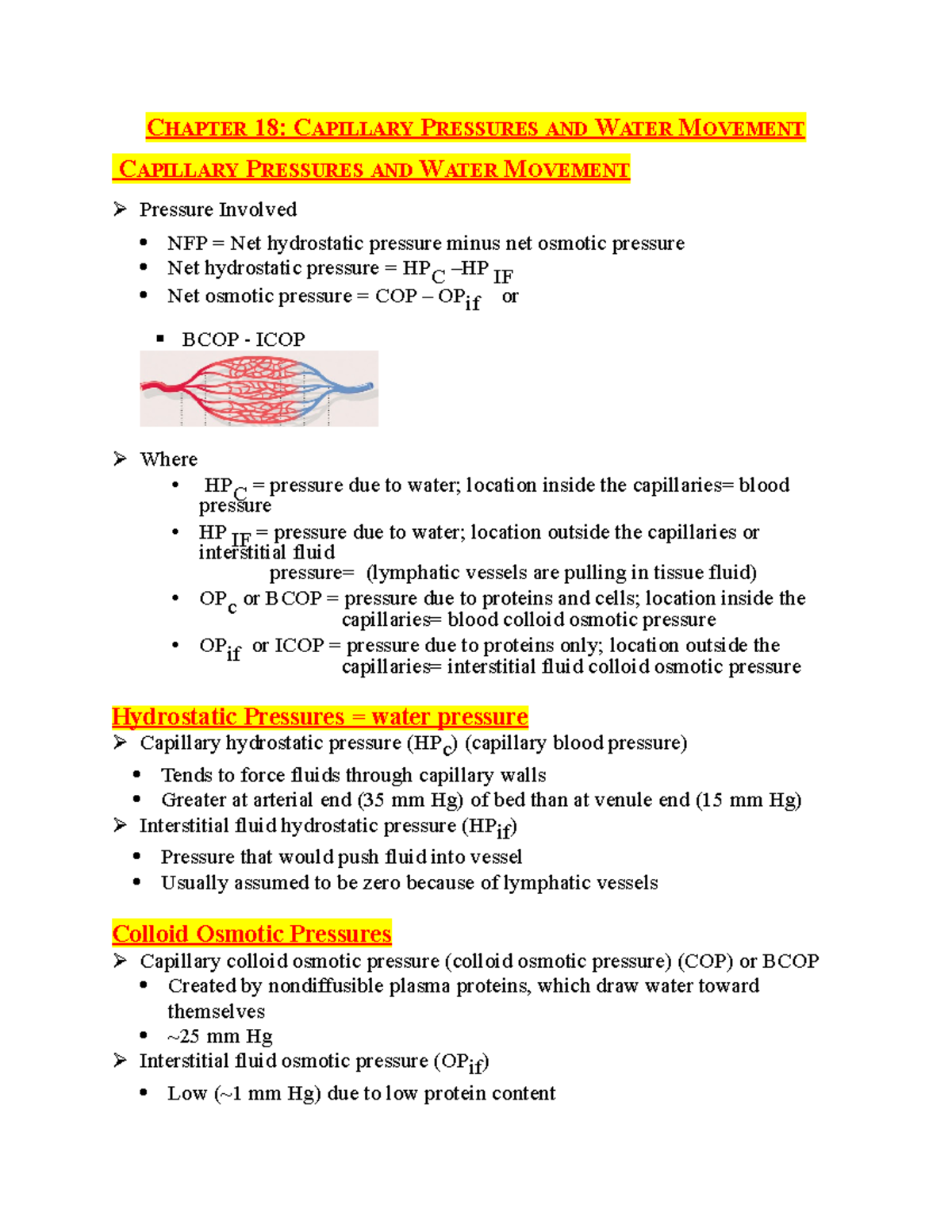 Chapter 18: Capillary Pressures & Water Movement - Mr. Aguilar's Class - Studocu