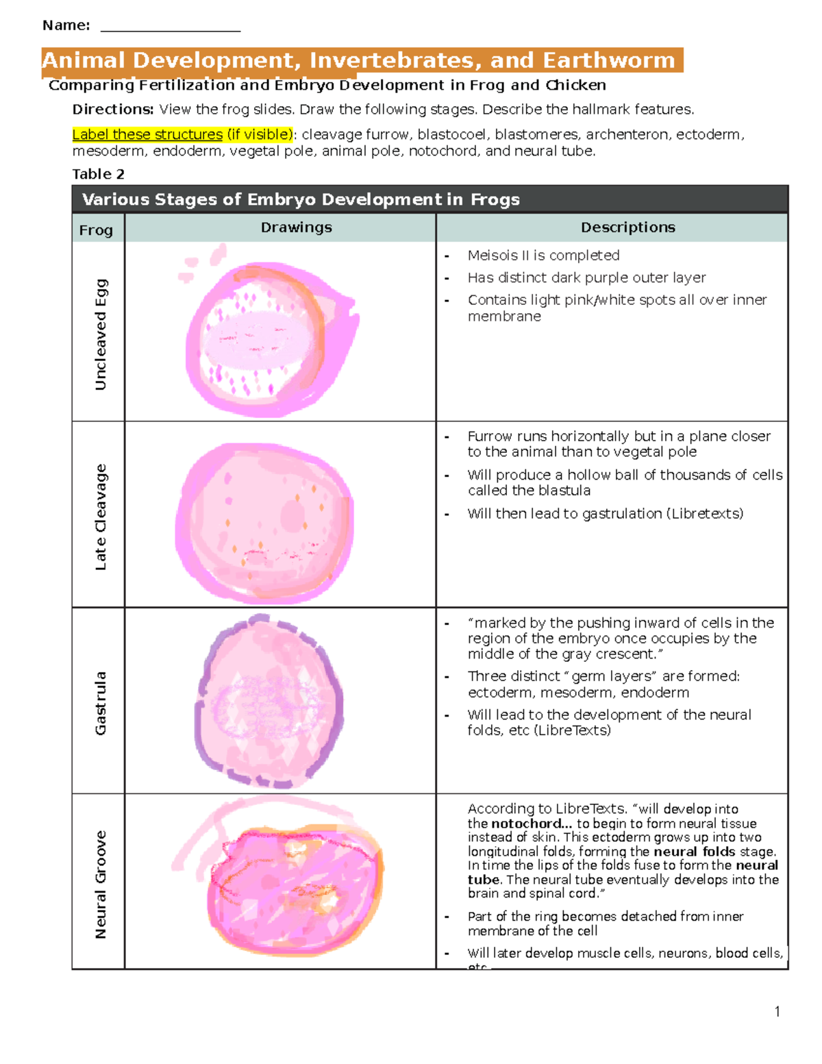 Biology 101: Embryo Development and Invertebrates Lab Worksheet - Studocu