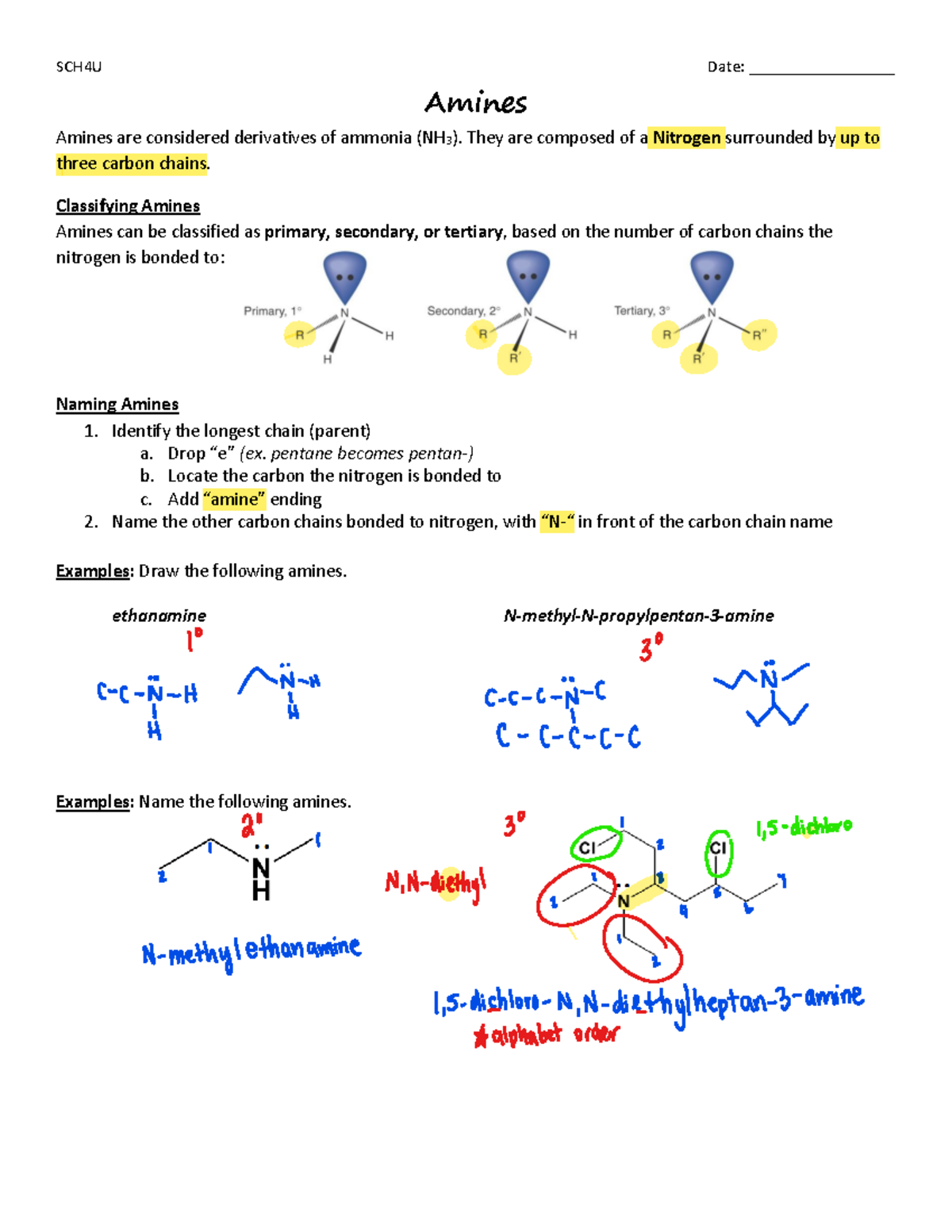 Amines and Amides Overview - SCH4U Lecture Notes - SCH4U Date ...