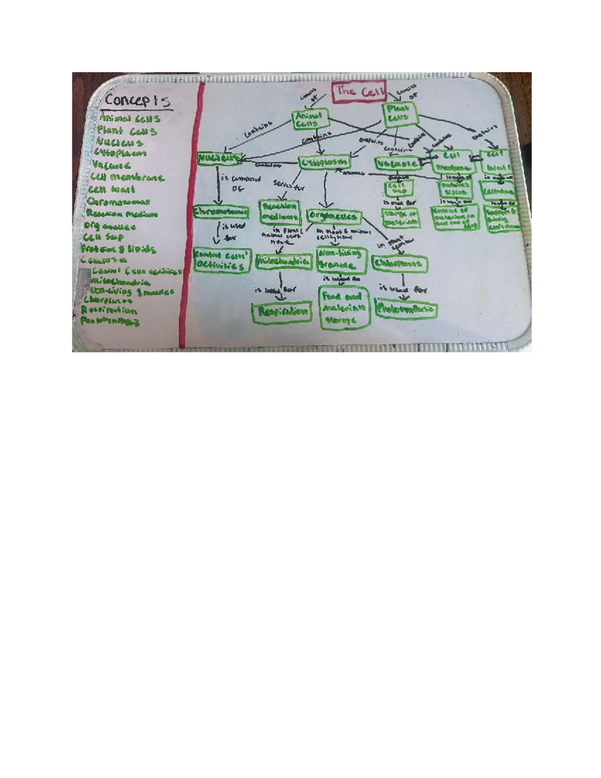 Concept Map: Cell Structure & Functions in Plants and Animals - Studocu