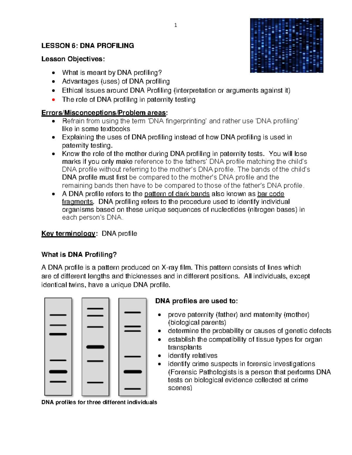 Lesson 6 DNA Profiling learner copy - LESSON 6: DNA PROFILING Lesson ...