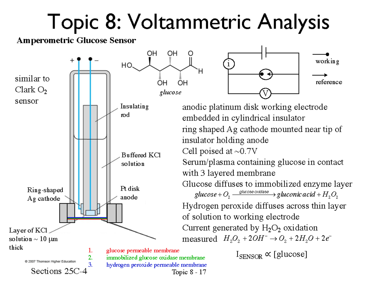 8b Voltam Amperometry Instrumentation - anodic platinum disk working ...