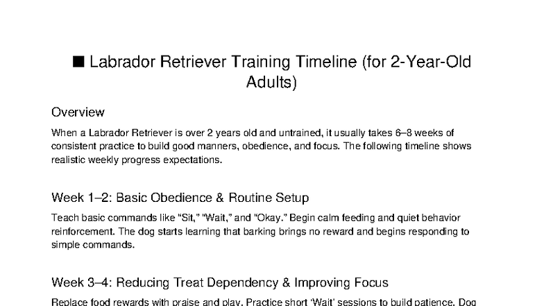 Labrador Retriever Training Timeline: Adult Obedience Guide - Studocu