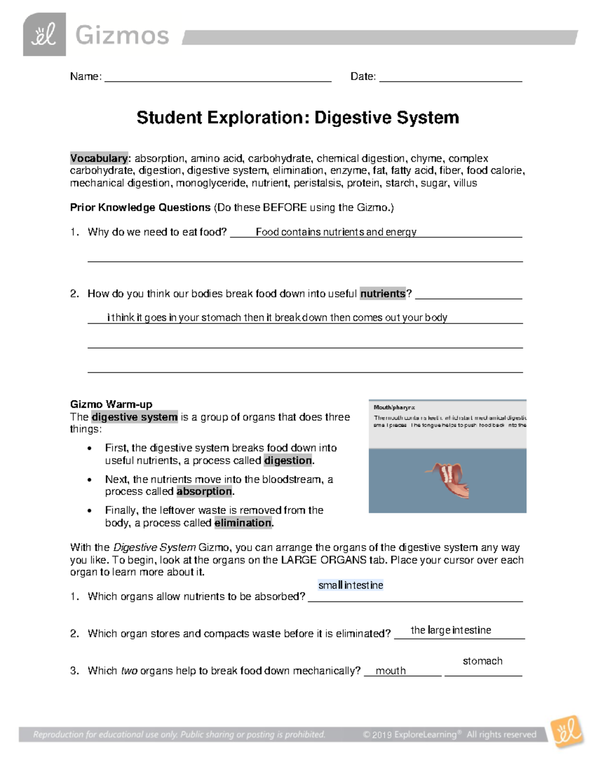Digestive System Absorption - Student Exploration Activity Guide - Studocu