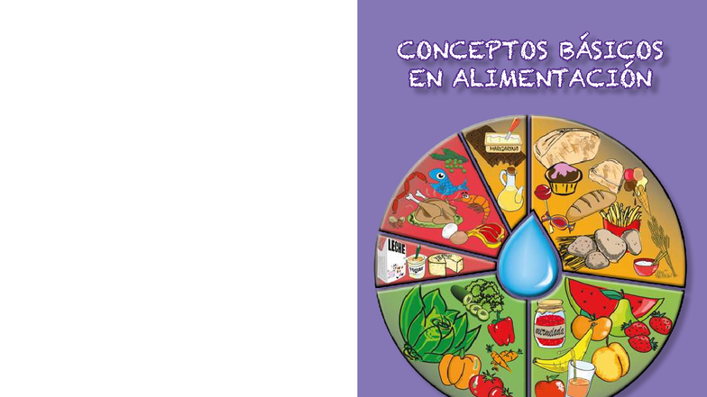 Conceptos Básicos de Alimentación: Guía Nutricional Esencial - Studocu