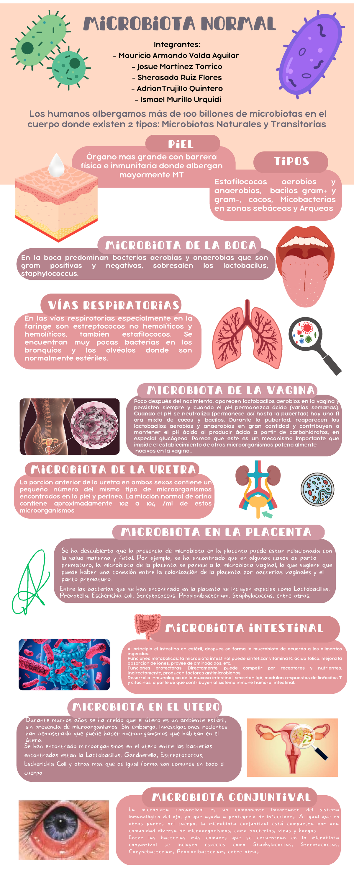 Ppt Microbiota Normal Y Barreras Naturales Powerpoint