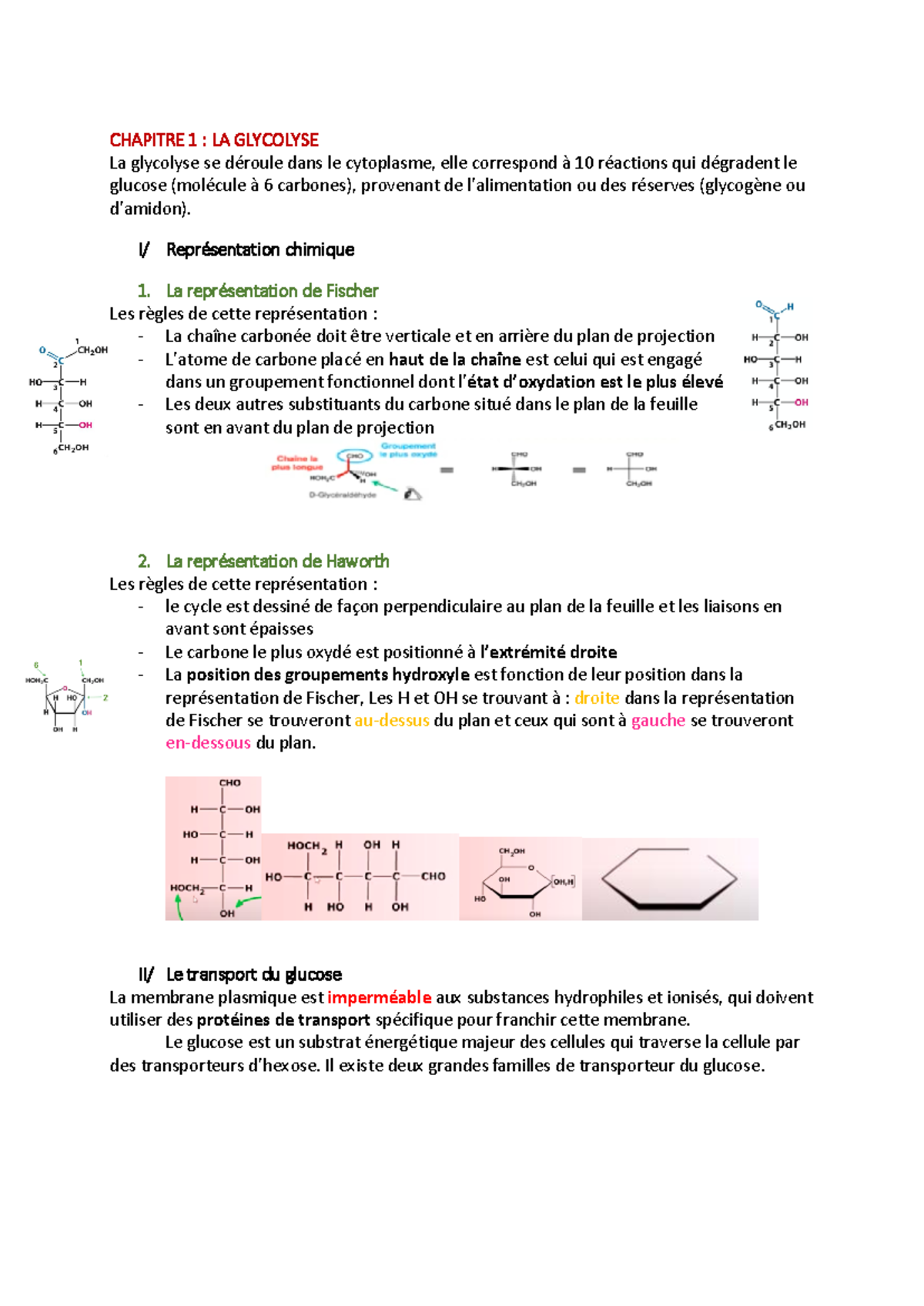 Chapitre 1 & 2: Métabolisme du Glucose et Néoglucogenèse - Studocu