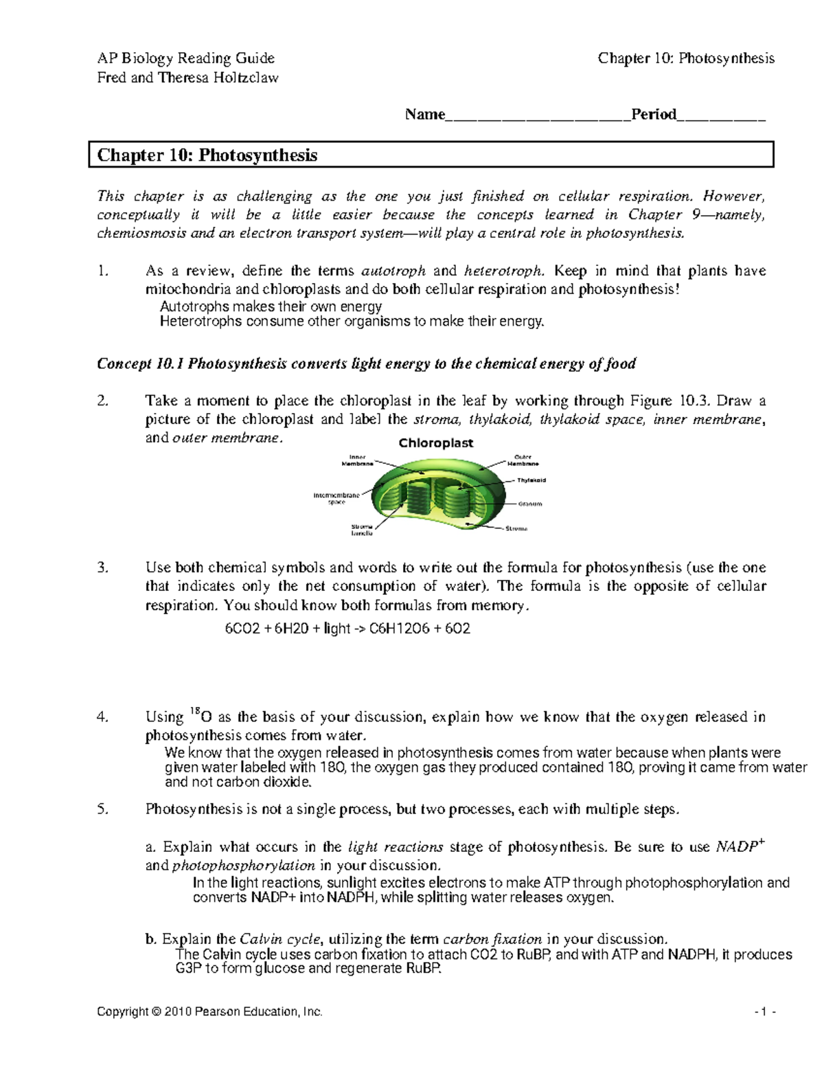 Chapter 10: Photosynthesis Study Guide and Review Notes - Studocu