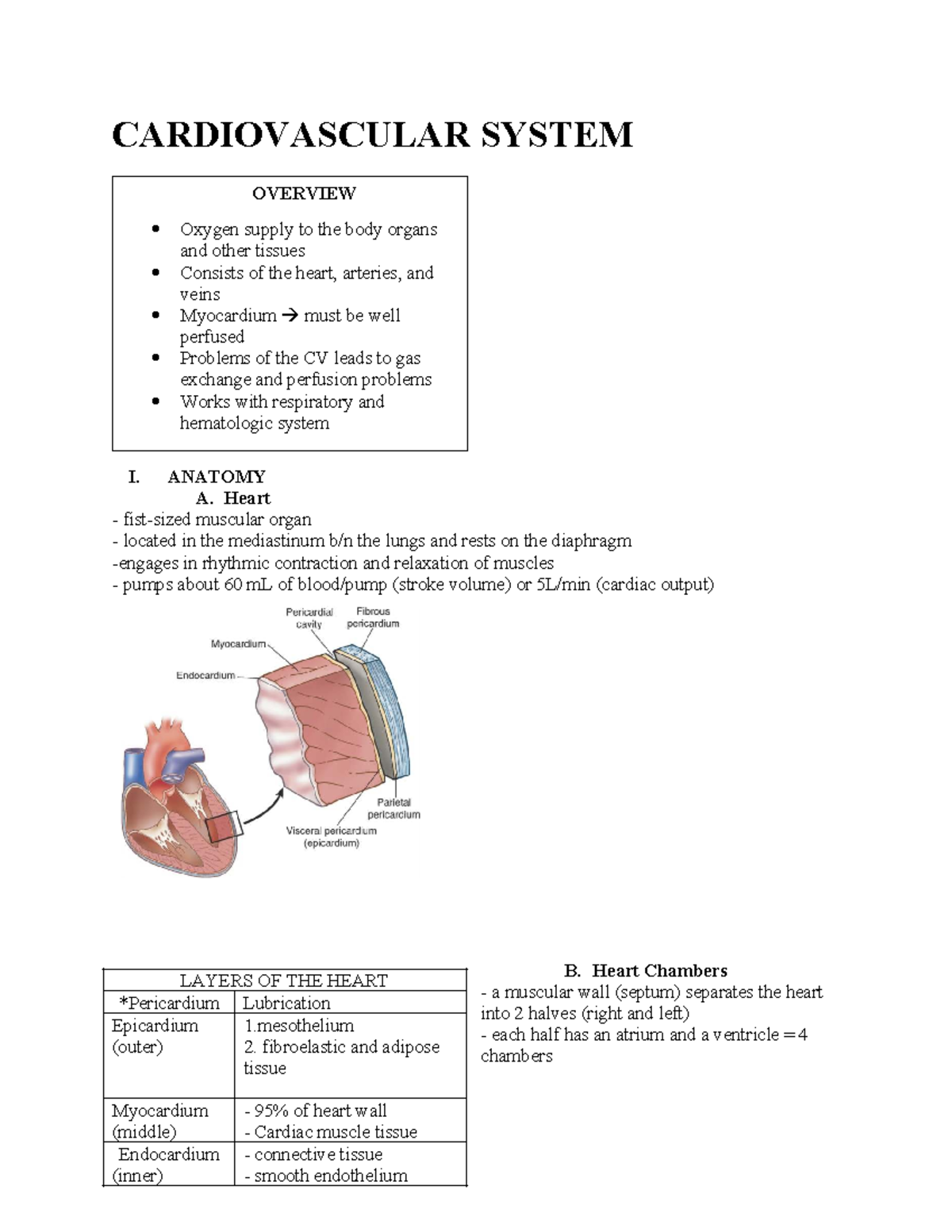 CARDIOVASCULAR SYSTEM OVERVIEW: Anatomy, Physiology, and Assessments ...