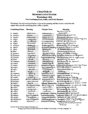 Med Term Ch 12 Worksheet -1 - CHAPTER 12 NERVOUS SYSTEM AND MENTAL ...