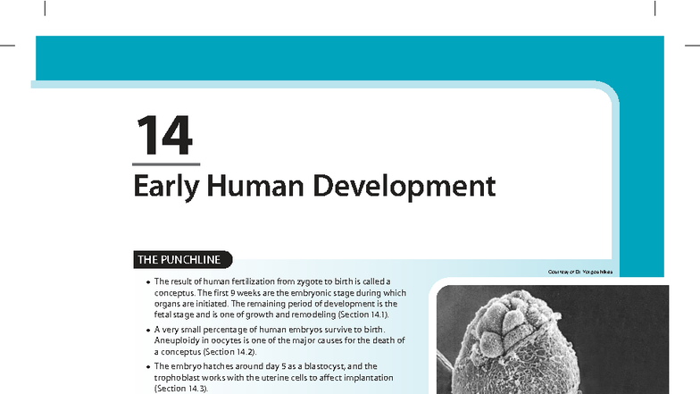14_DevBio13E_Chapter14_Early_Human_Development_Overview - Studocu