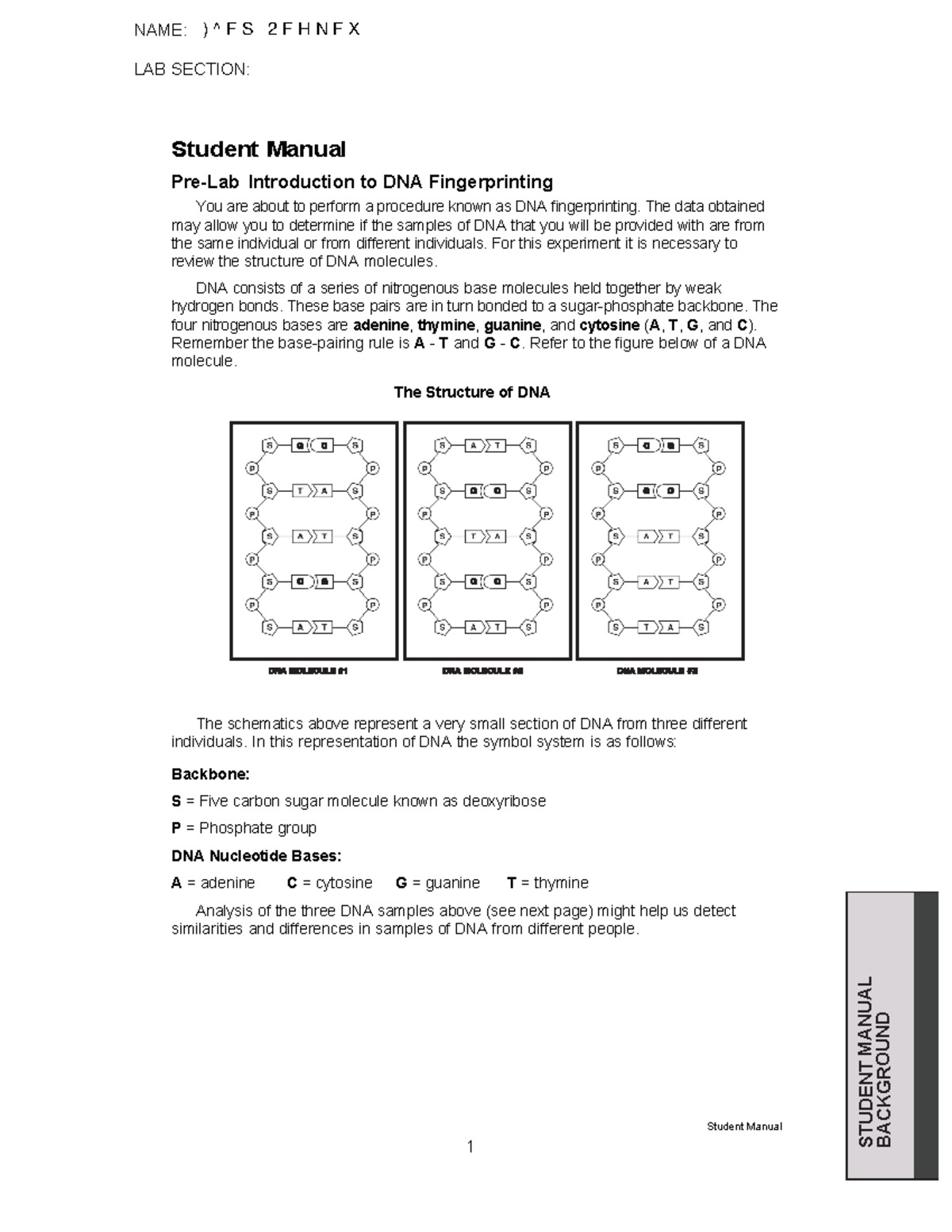 DNA Fingerprinting Lab Manual - Worksheets 2: Student Guide - Studocu
