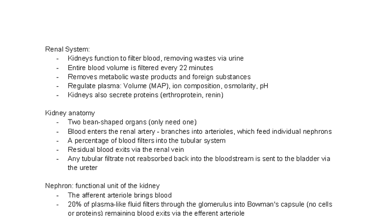 Renal System: Kidney Function, Anatomy, and Filtration Process - Studocu