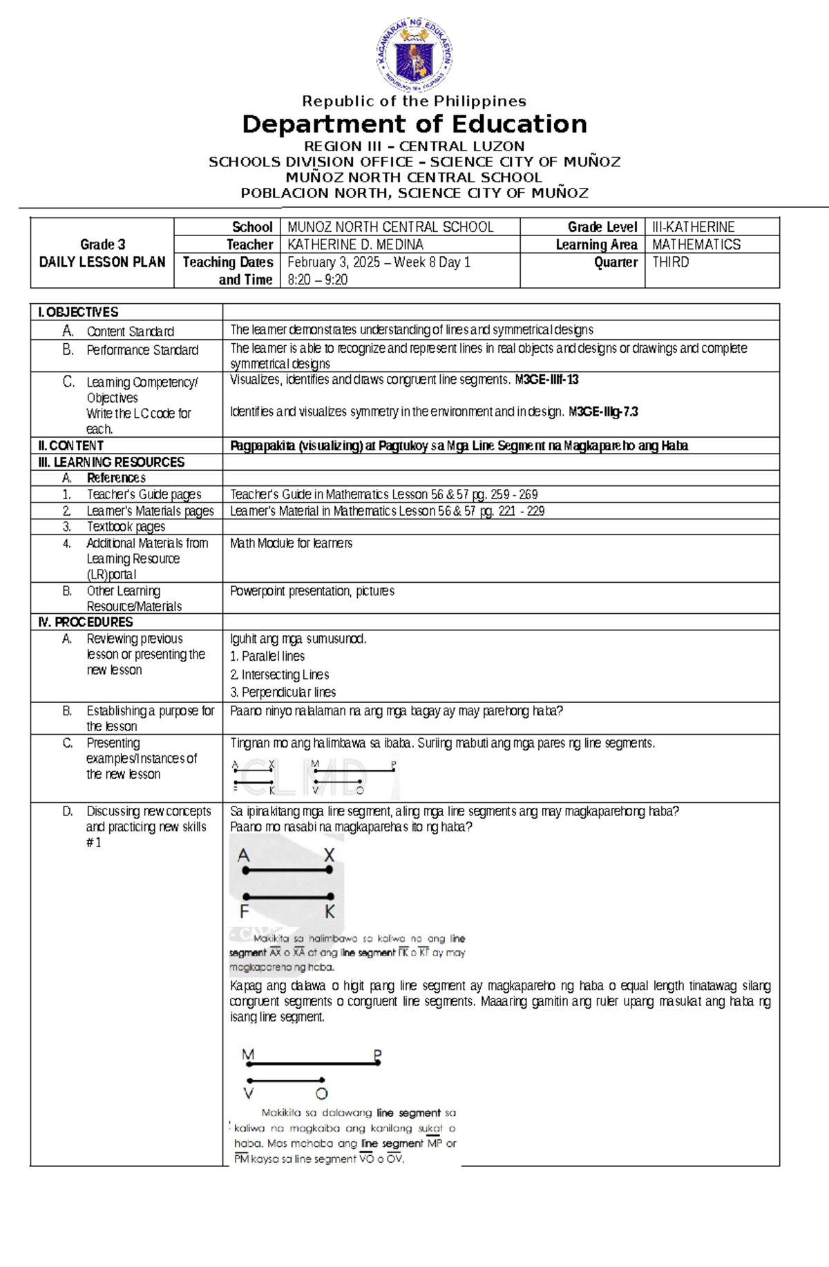 DLP MATH G3 Q3 W8 D1: Daily Lesson Plan on Line Segments and Symmetry ...
