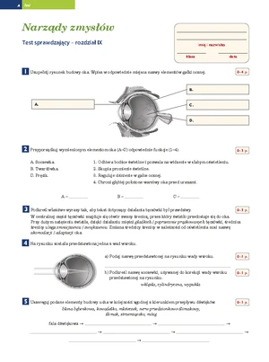 Sprawdzian 8 wersja a pdf - Sprawdzian 8. Polska i Litwa grupa A - Studocu