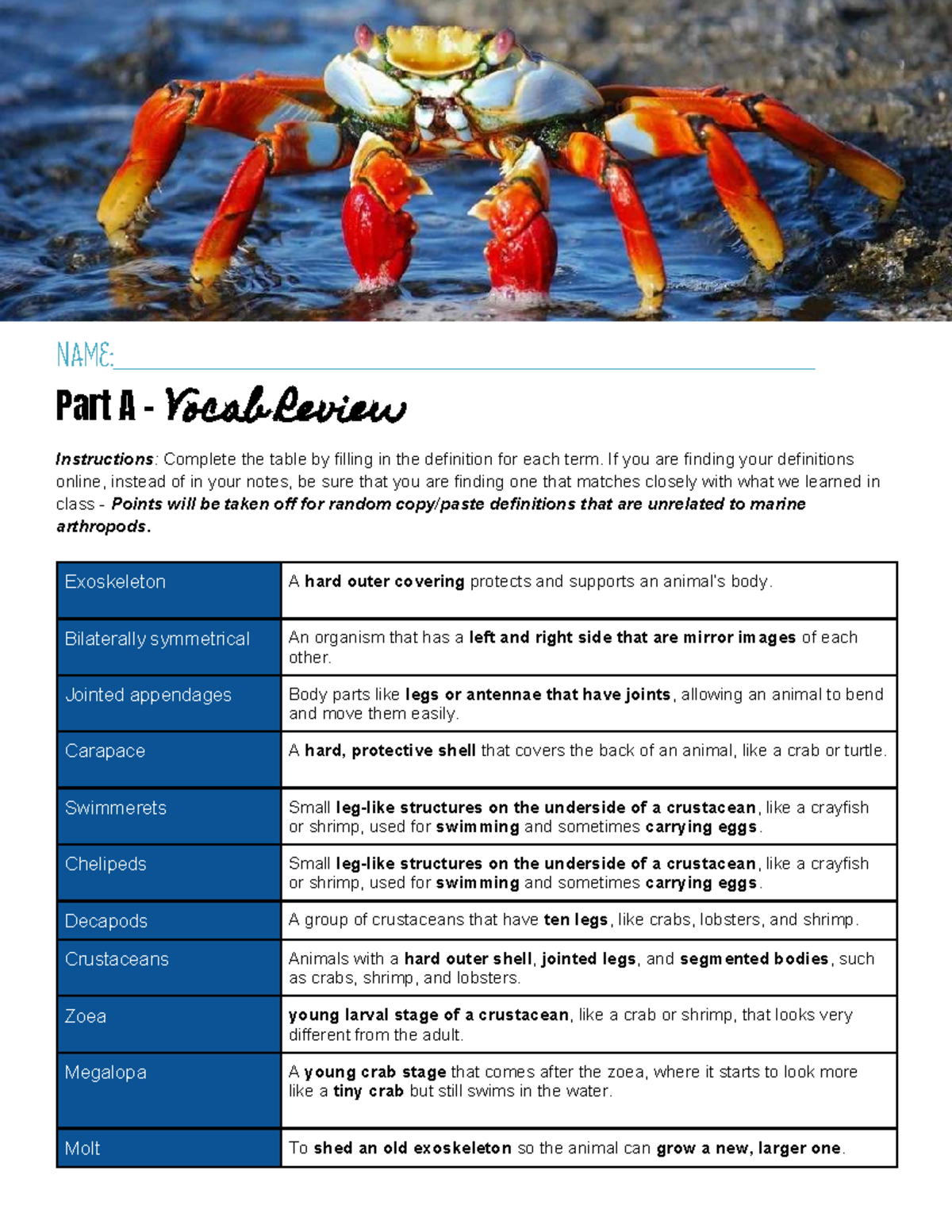 Marine Arthropods Vocabulary Review & Research Insights (BIO 101) - Studocu